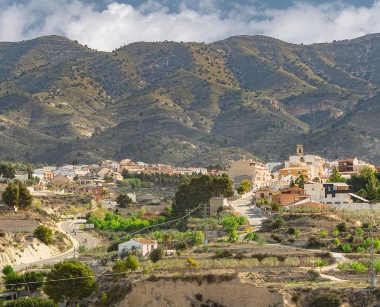 Inicio > Ayuntamiento de Tibi