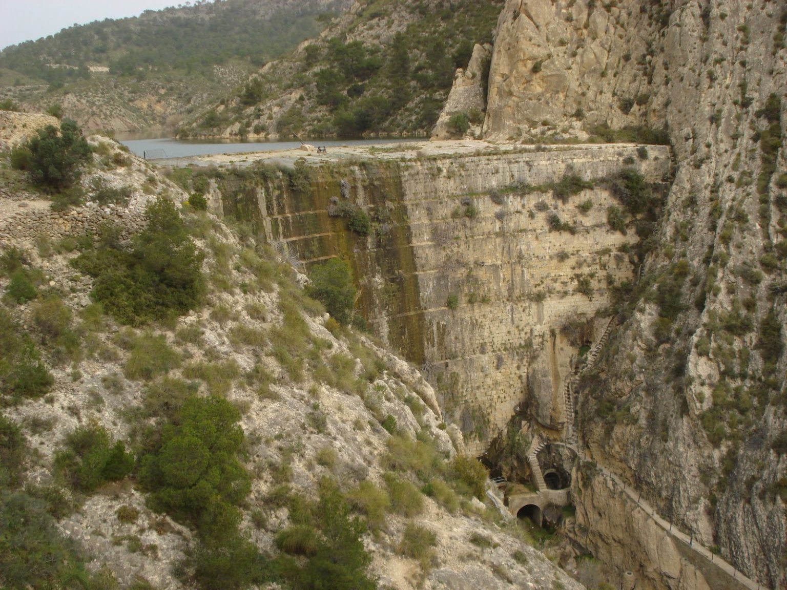 Inicio > Ayuntamiento de Tibi